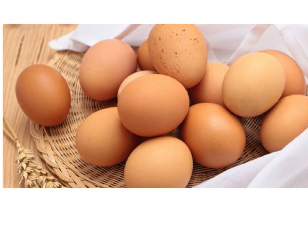 Our Eggs – New Haven Golden View